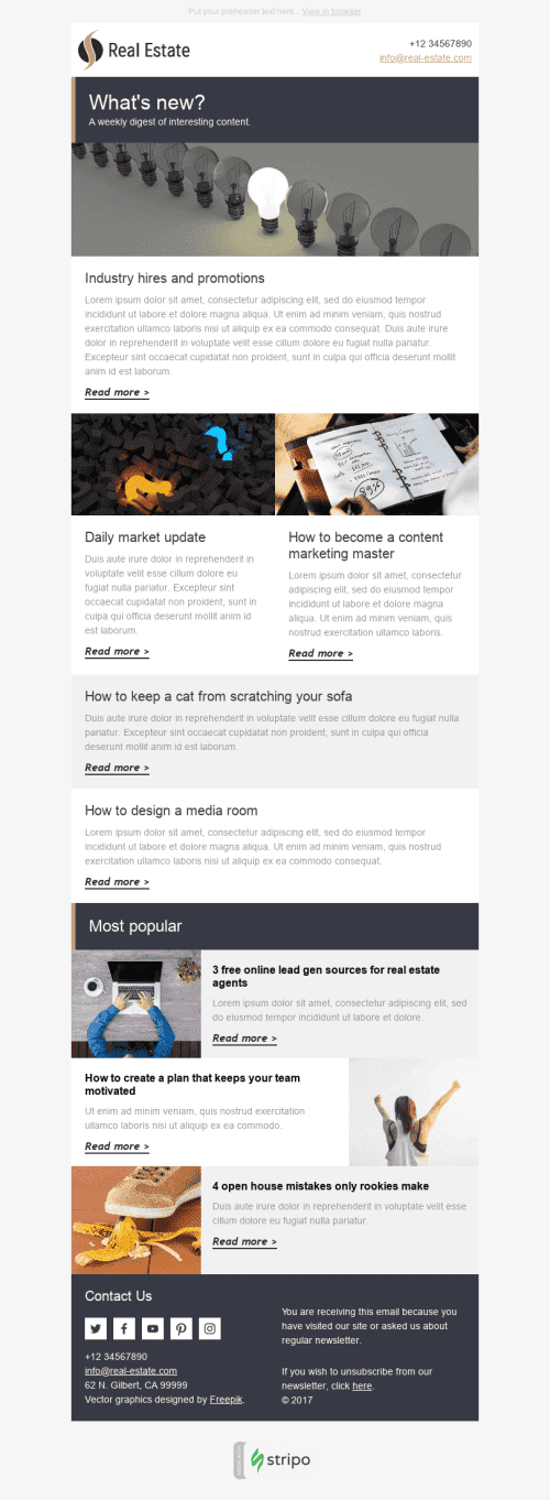 Weekly Digest Email Template by Stripo.email