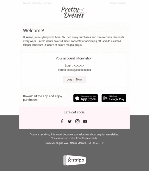 Account Information Email Template by Stripo.email