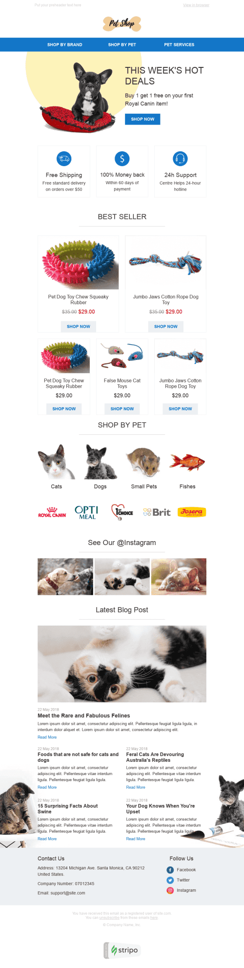 Favorite toys Email Template by Stripo.email