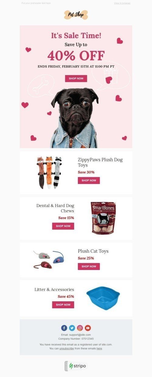 Perfect Gift Email Template by Stripo.email