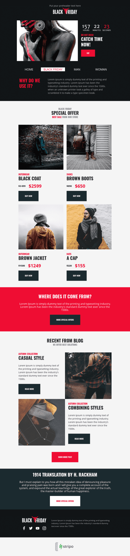 Time Sale Email Template by Stripo.email