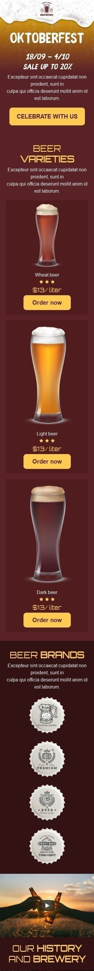 Craft beer Email Template by Stripo.email