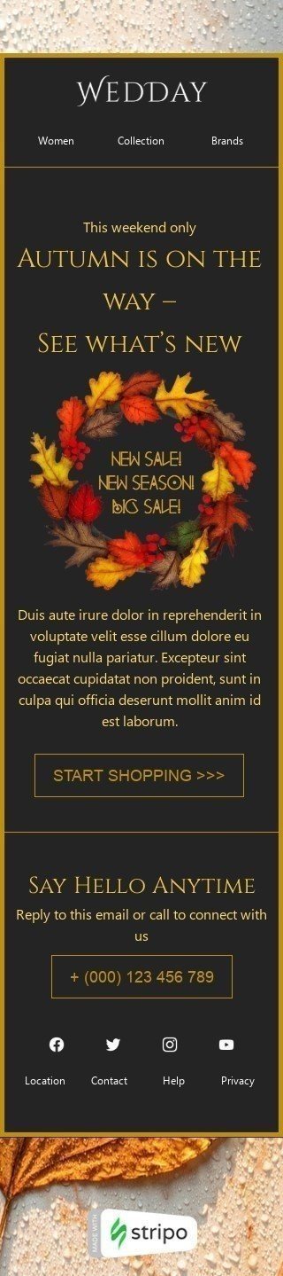 Autumn is on the way Email Template by Stripo.email