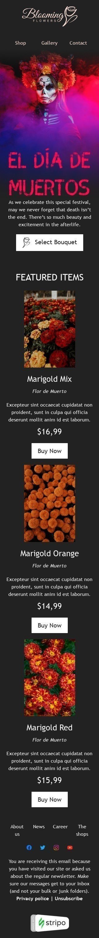 Marigold Email Template by Stripo.email