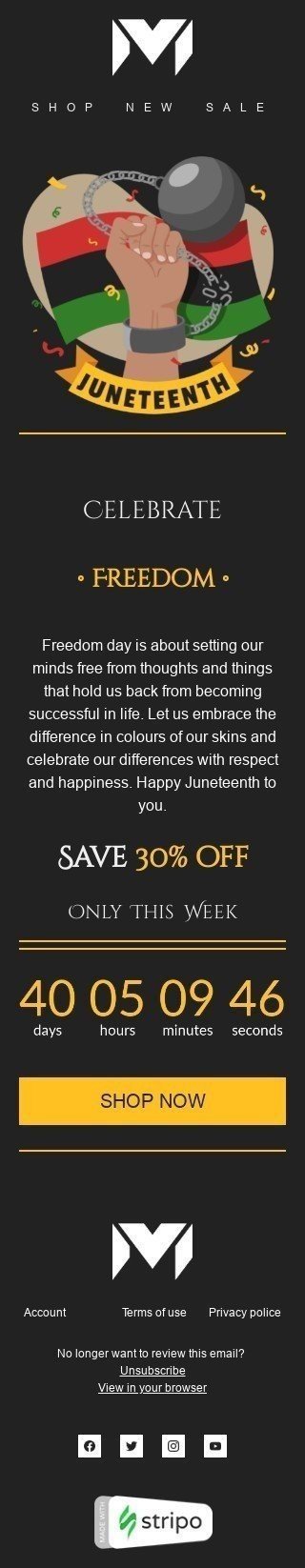 Celebrate freedom Email Template by Stripo.email