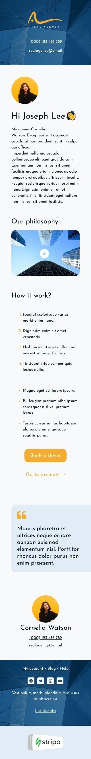Book a demo Email Template by Stripo.email