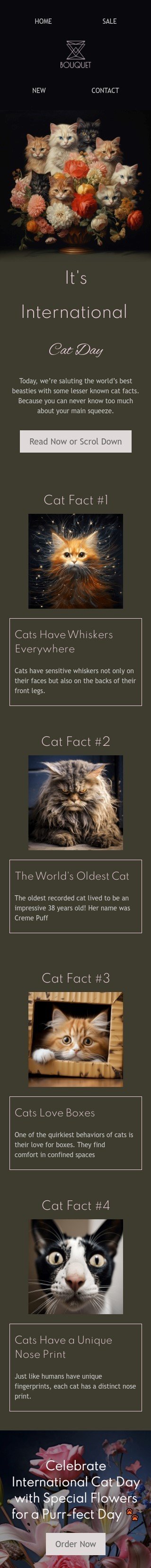 Cat fact Email Template by Stripo.email