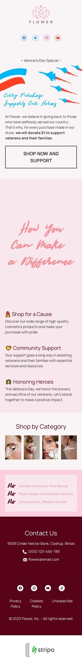 Supports our heroes Email Template by Stripo.email
