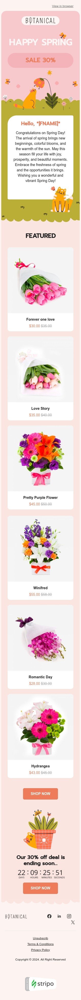 Spring flowers Email Template by Stripo.email