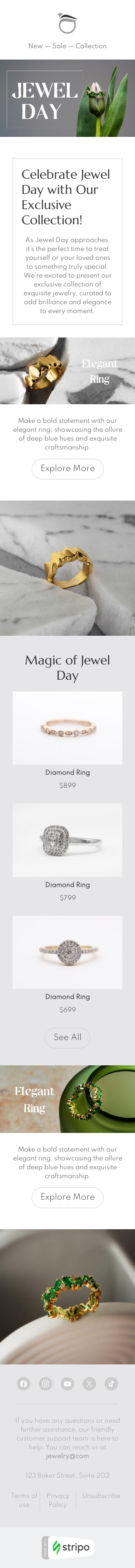 Elegant ring Email Template by Stripo.email