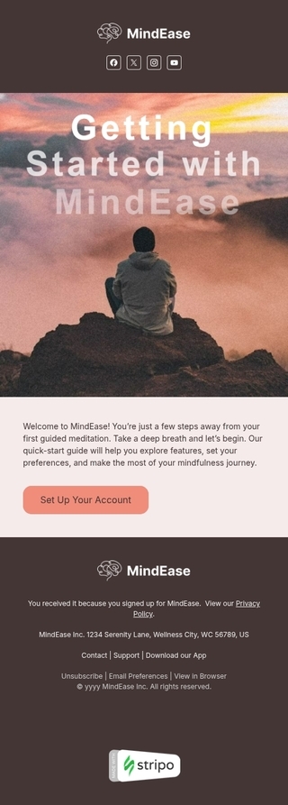 Quick-start guide Email Template by Stripo.email